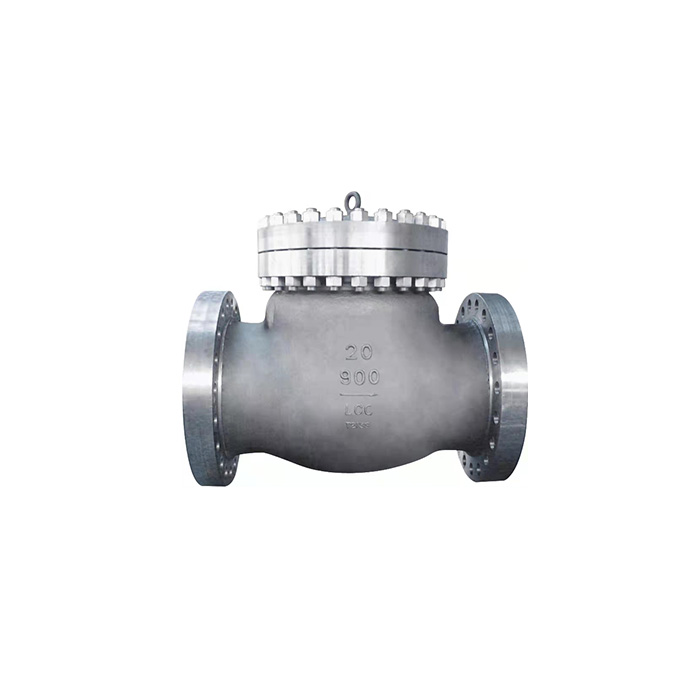What is the difference between backstop valve and check valve?