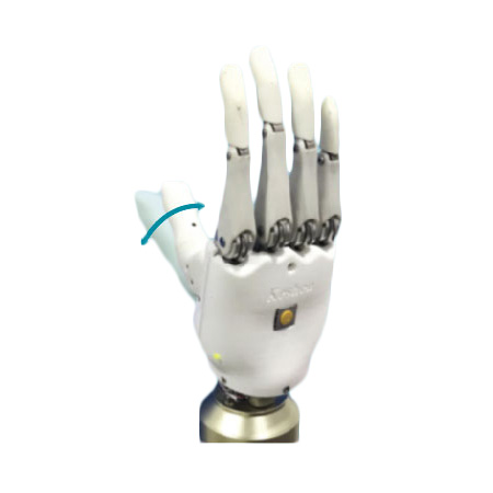 KS-Bionic Hand Category