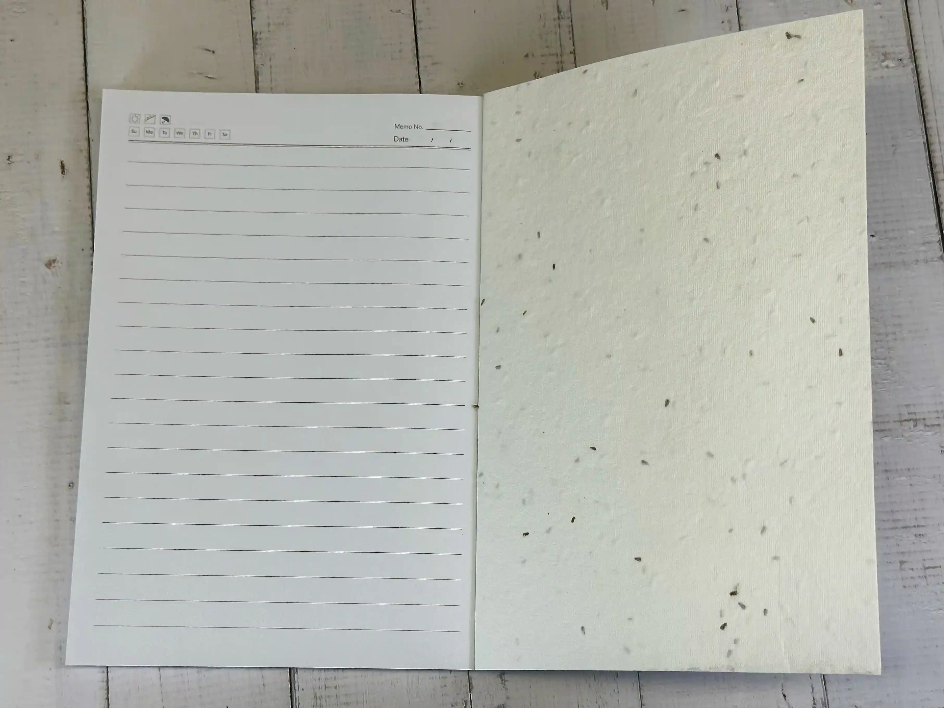 Seed Paper : Biodegradable Plantable Eco-Friendly Paper for Sustainable ...