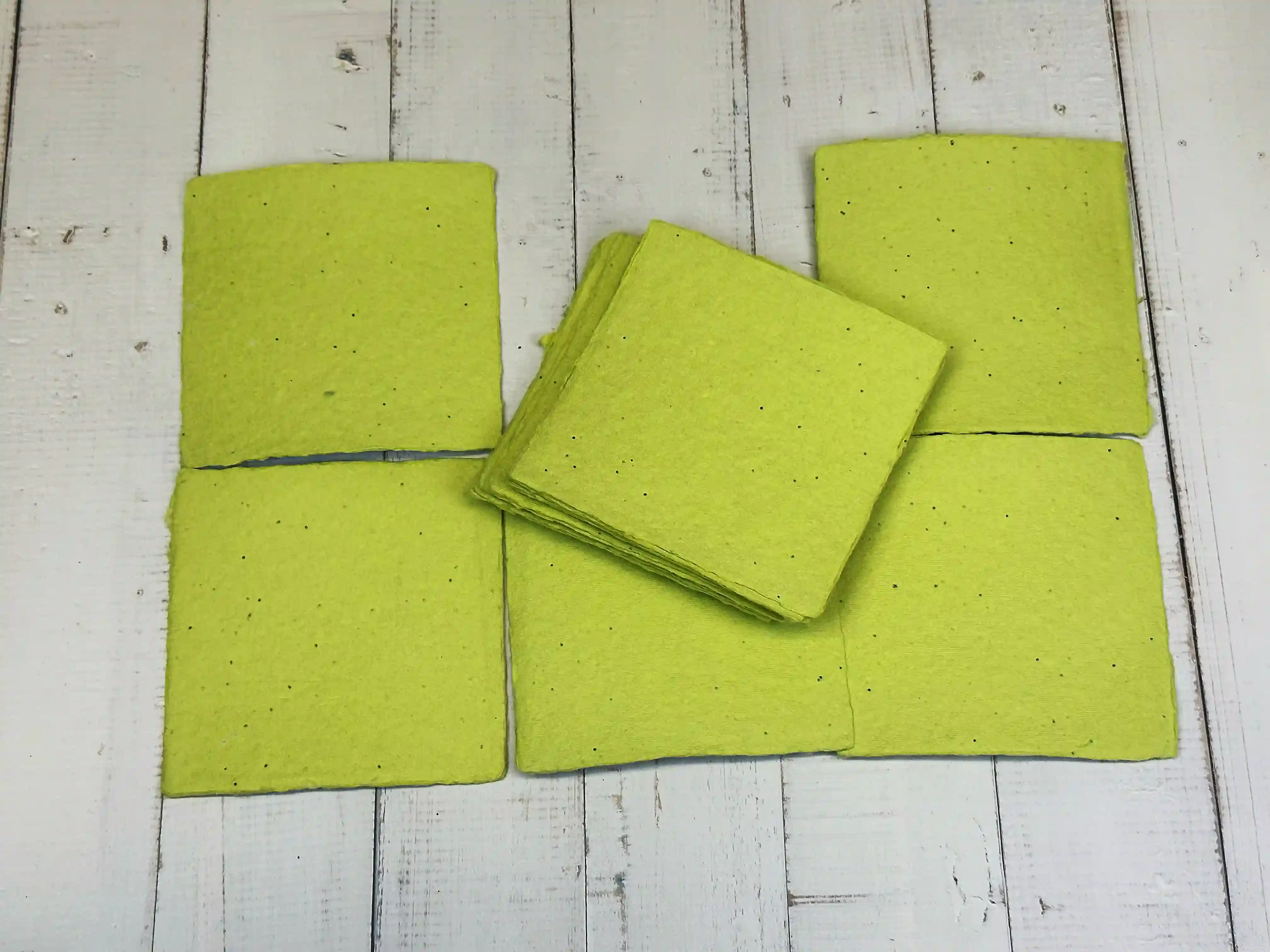 Seed Paper : Biodegradable Plantable Eco-Friendly Paper for Sustainable ...