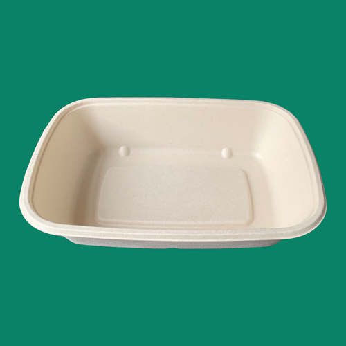 Bagasse Food Box-Company-Manufacturer