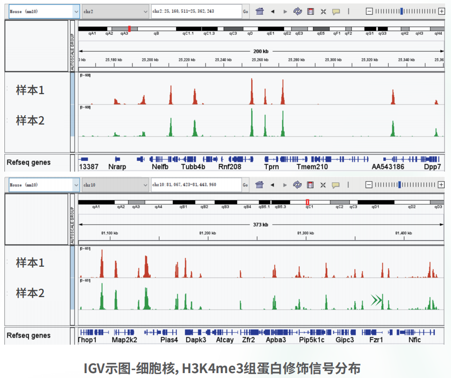 Cut&Tag-seq-上海绾塍生物科技有限公司