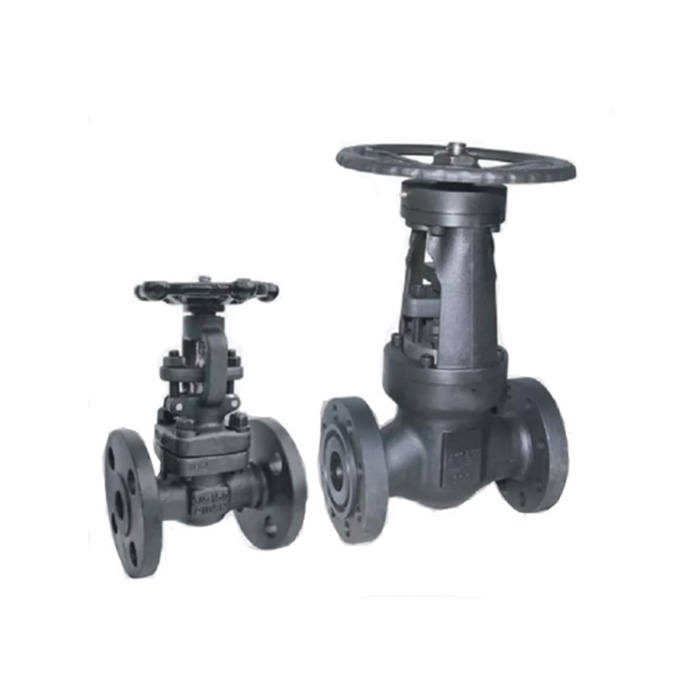 API 602 Forged Steel Gate Valve Manufacturer-China-Huhang Valve