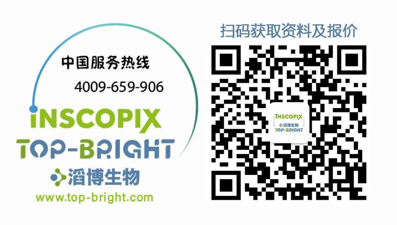 GRIN Lens-透镜-Inscopix-滔博生物