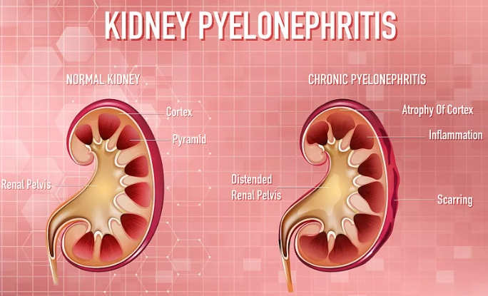 [Biospace Lab]动物活体成像应用篇（四）-昆明纳瑞科技