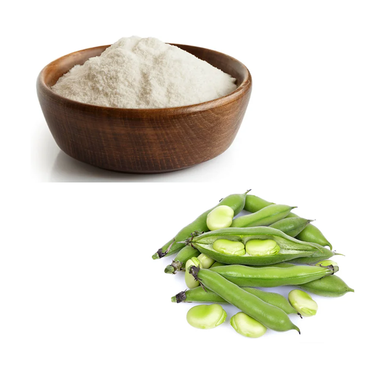 Pea protein-The ideal animal protein alternative for vegetarians