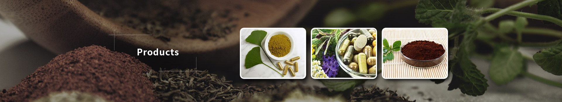 Pure Botanical Extract Powder - Nutra Green's Premium Selection