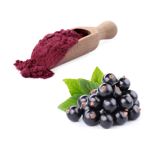 Black Currant Extract Price-Black Currant Extract Supplier|Factory
