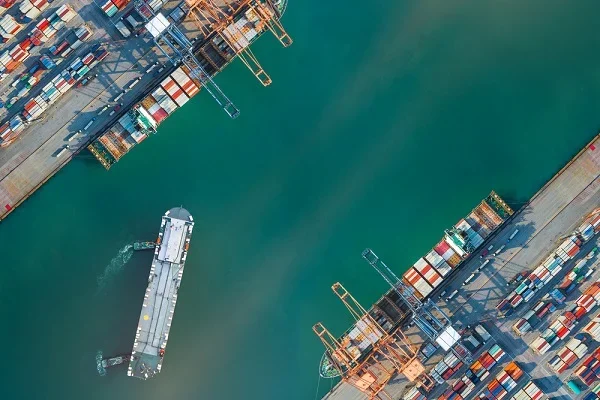 Advantages Of Bulk Cargo Sea Freight Export Logistics Service