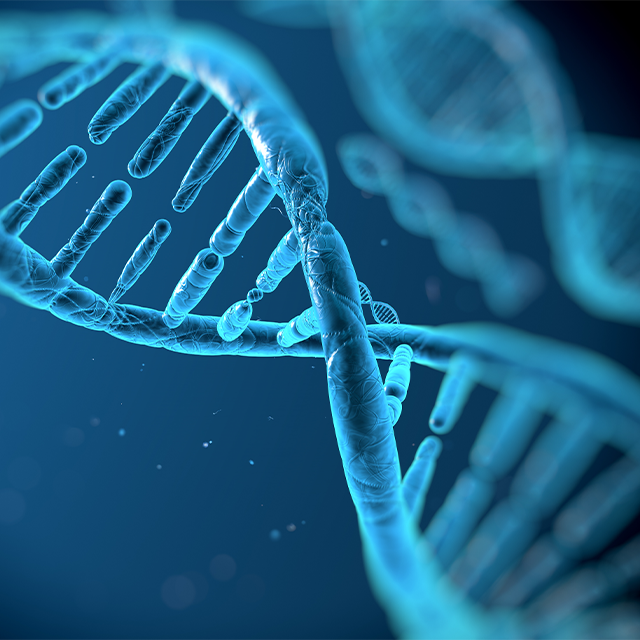 Vitamin B4 Factory|Vitamin B4 Supplier|Vitamin B4 Manufacturer