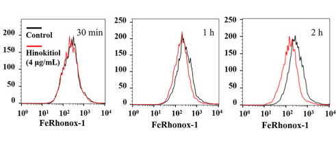 铁死亡-研载生物科技（上海）有限公司
