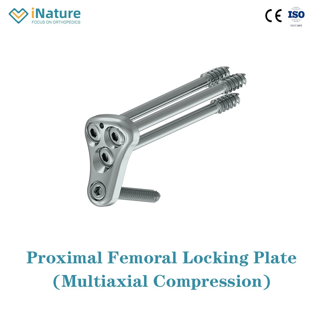 Proximal Femoral Locking Plate (Multiaxial Compression)-| iNature ...