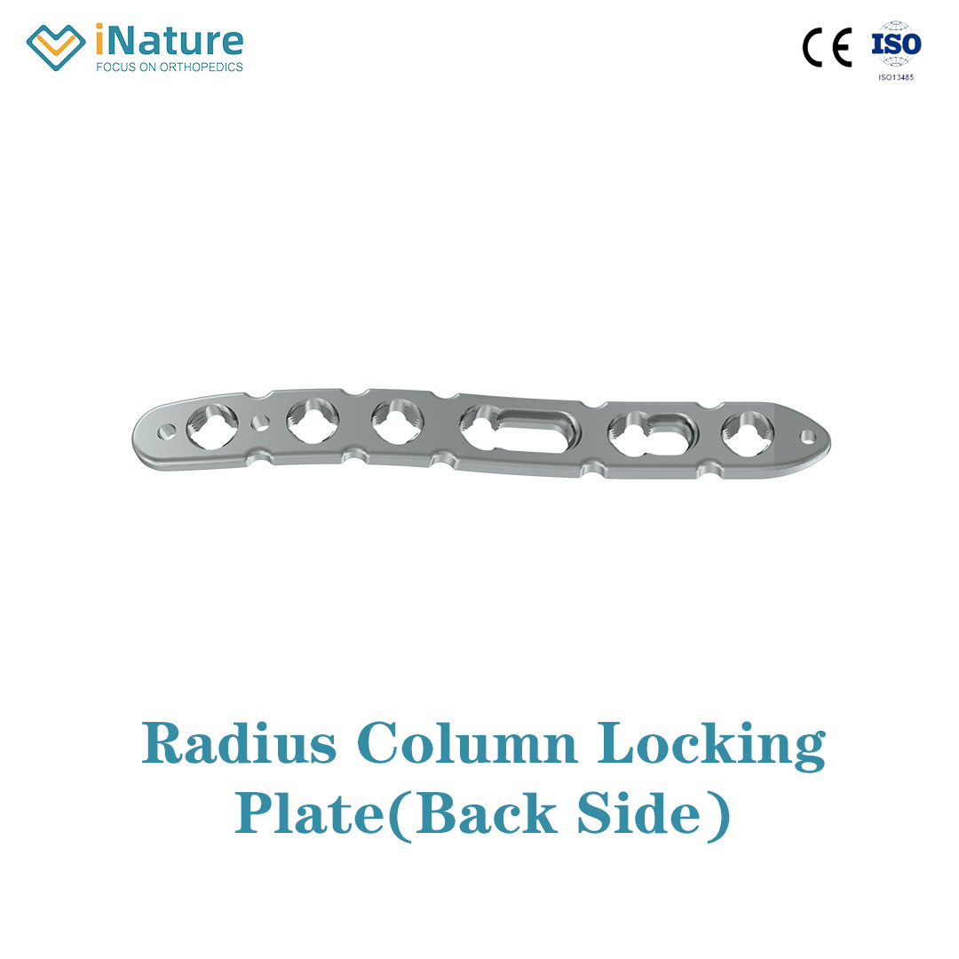 Radius Column Locking Plate (Back Side)-| iNature - Manufacturer & Sale