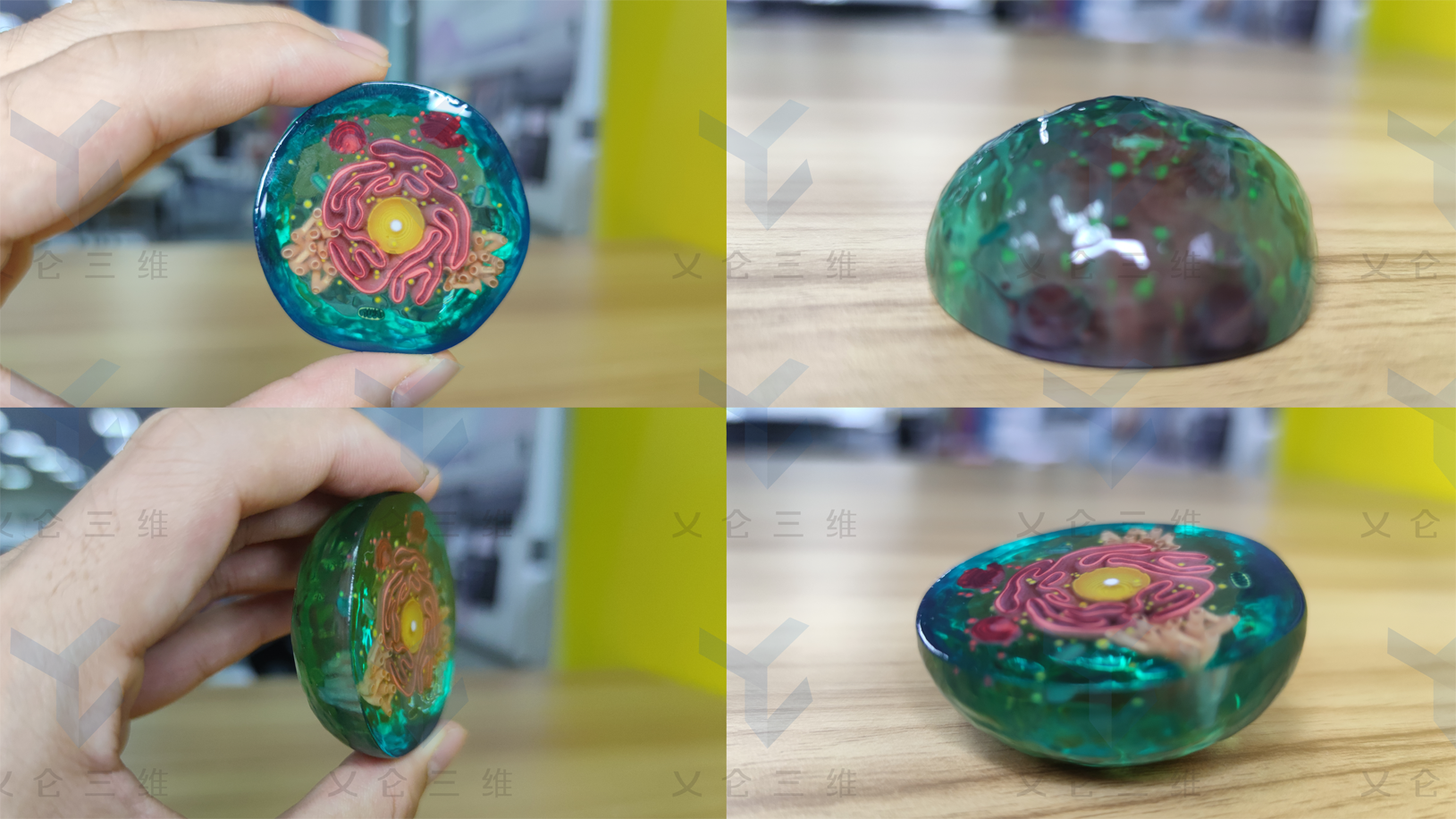 UV 固化喷墨紧凑型全彩 3D 打印机 3DUJ-2207-上海乂仑三维设计有限公司