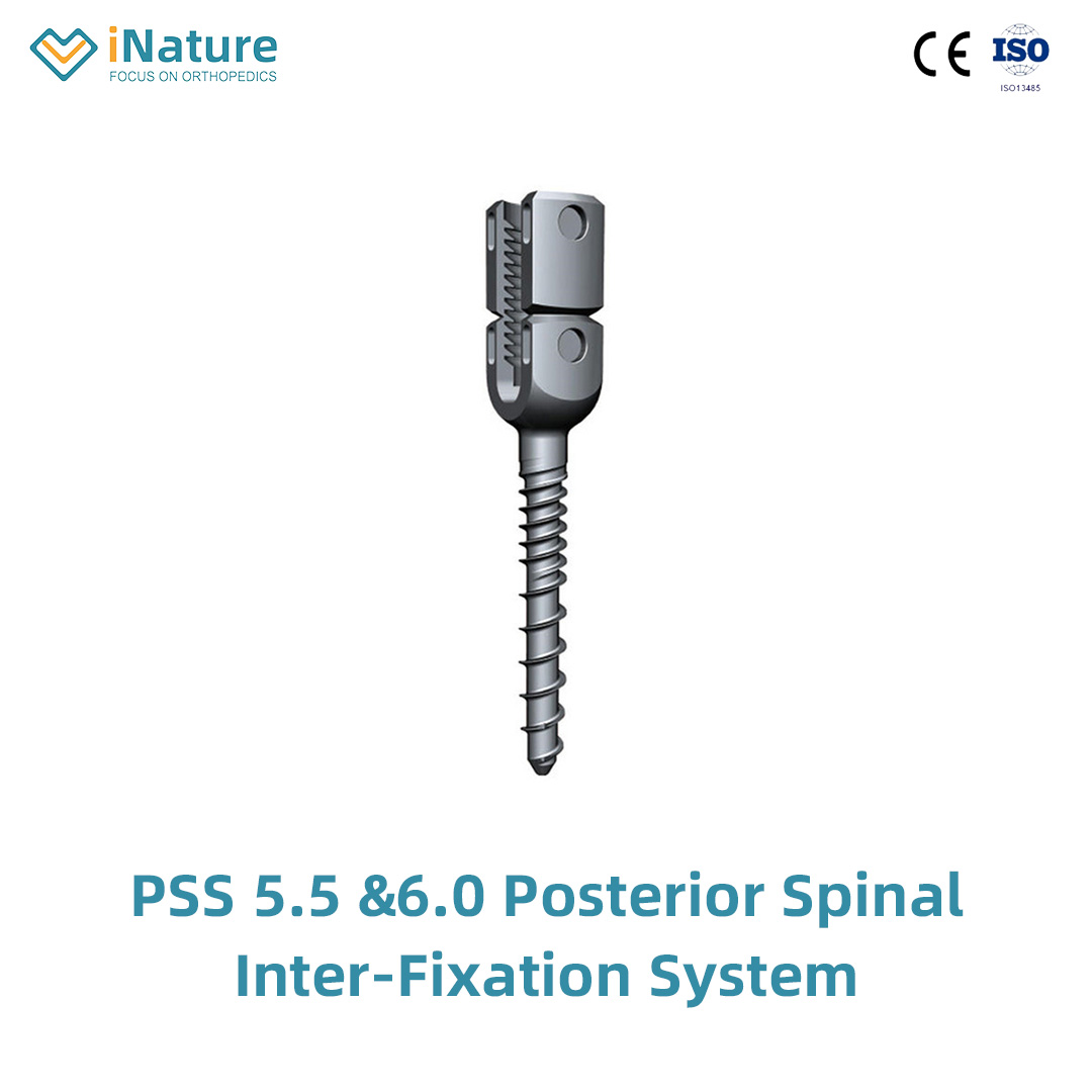Spinal Rods And Screws Supplier/Oem For Spinal Fusion-Inature