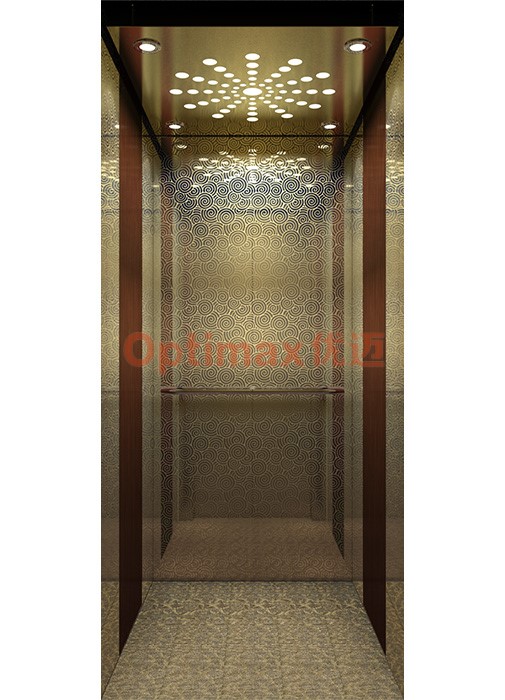Etched Titanium-Plated Gold Home Lift Cabin Design-Vendor-Factory-Optimax