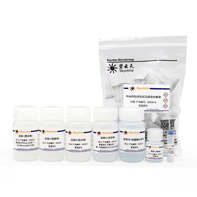 碧云天Beyotime 质粒中量抽提试剂kit 盒(通用型),南京文达化玻试剂,化学试剂,仪器设备