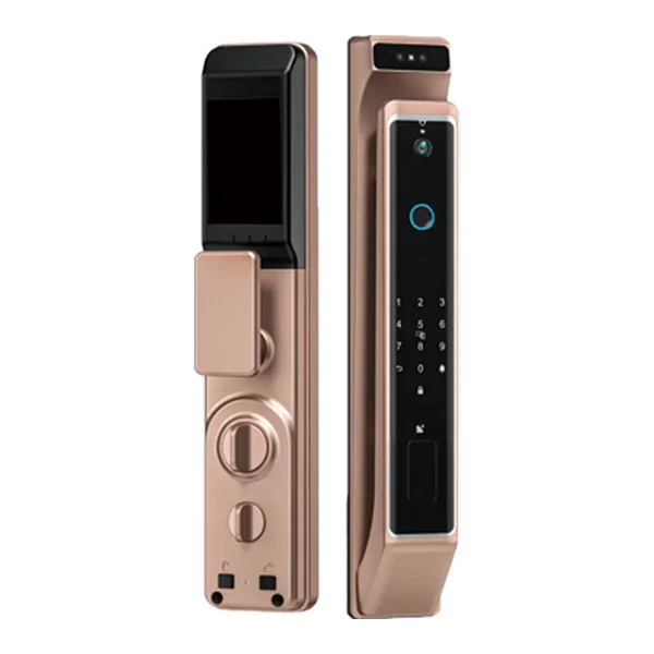 Advantages Of Smart Lock For Metal Security Door For Sale
