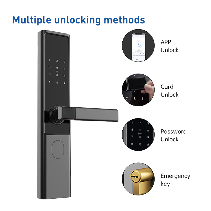 HW1 Gateway Lock (433)_Zhejiang Swin IoT Technology Co., Ltd.