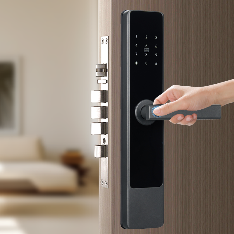 QL1 Intelligent door lock_Zhejiang Swin IoT Technology Co., Ltd.