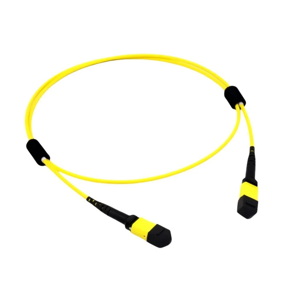 Understanding MTP/MPO Patch Cords: A Comprehensive Guide to High ...