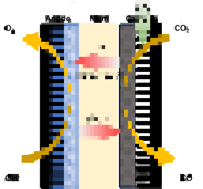 PY-CO2-10kW-(2.5kW*5)CO2电解制CO系统_上海芃洋氢能科技有限公司