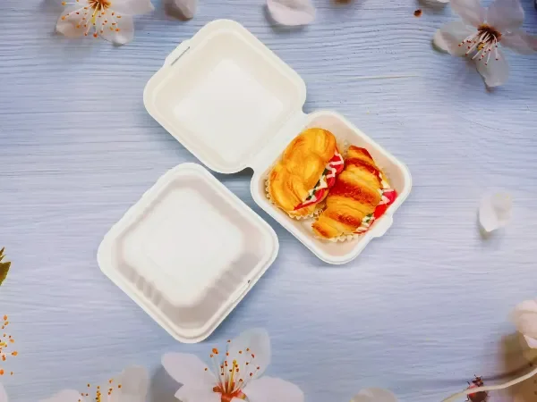 Benefits Of Eco-Friendly Pulp Molded Clamshell Takeaway Box For Sale
