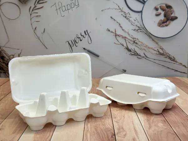 Custom Natural Bamboo Pulp Biodegradable Egg Cartons For Sale