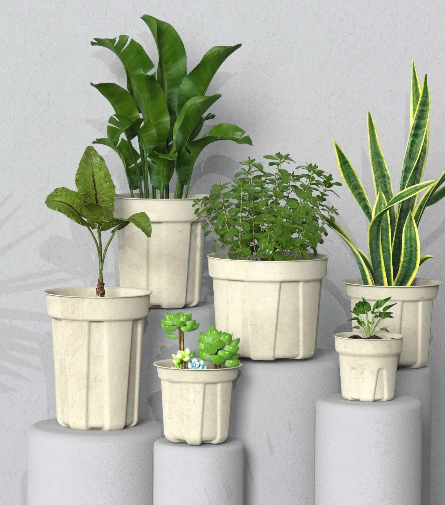 Bamboo Pulp Flower Pot:100% Biodegradable Eco-Friendly Design with US ...