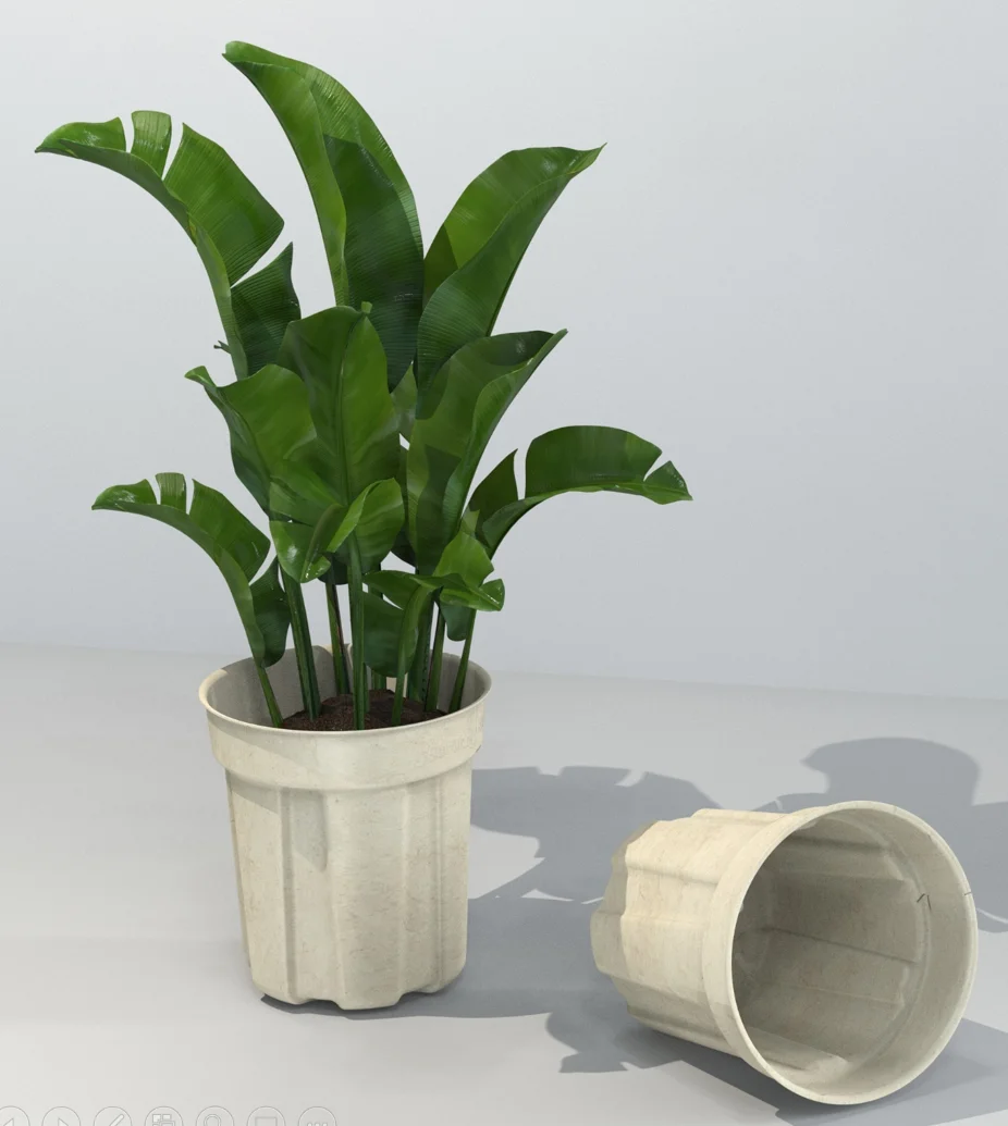 Bamboo Pulp Flower Pot:100% Biodegradable Eco-Friendly Design with US ...