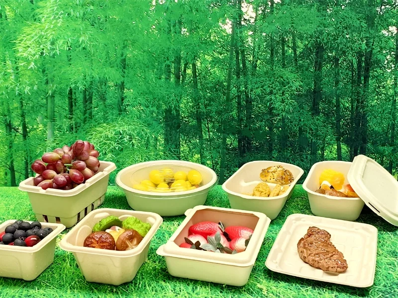 Eco-Friendly Sustainable Biodegradable Bamboo Fiber Packaging For Sale