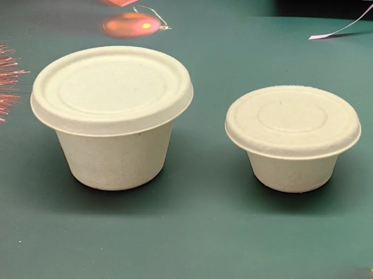 G-COVE bamboo fiber pulp molded biodegradable compostable food ...