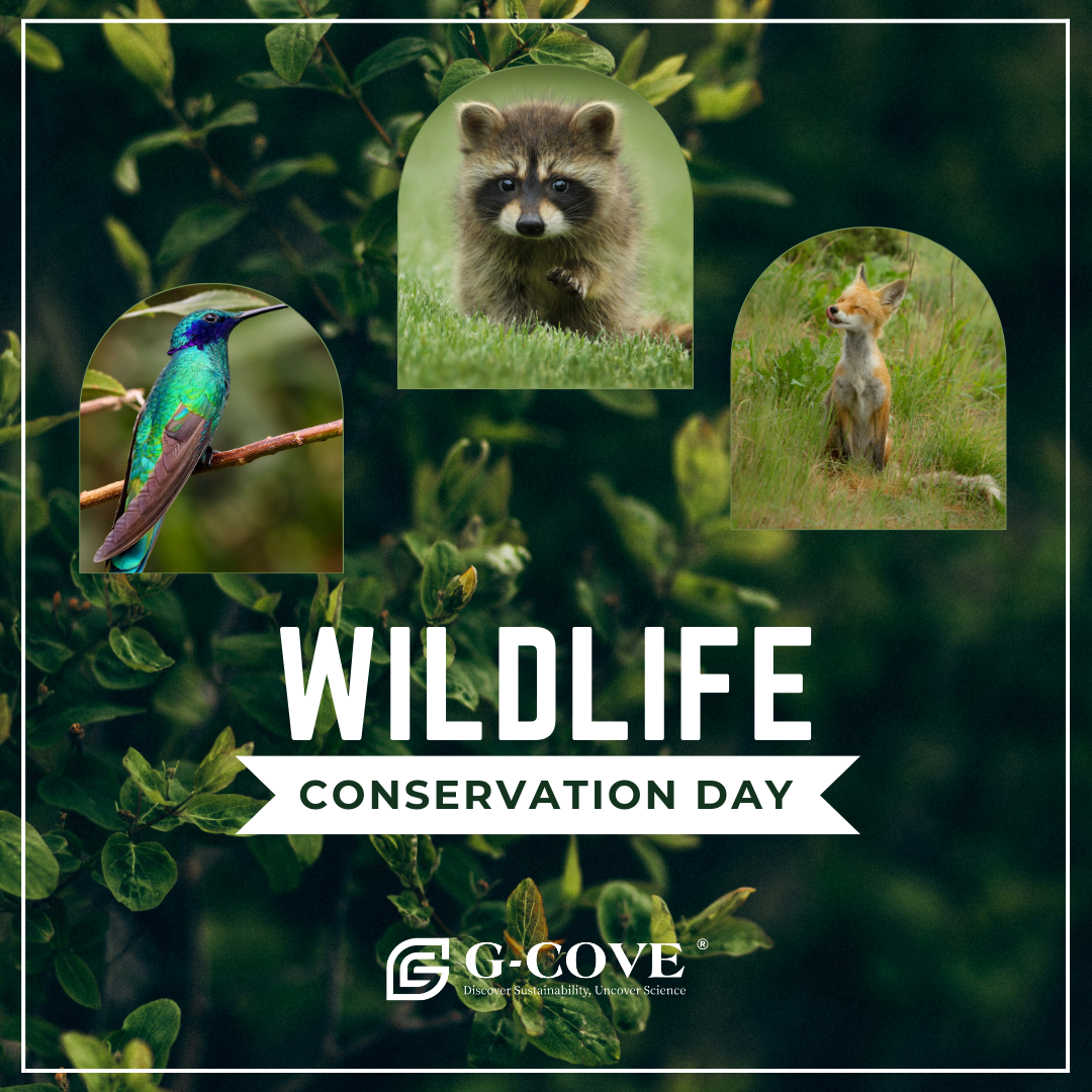 World Wildlife Conservation Day: Protect Endangered Species | G-COVE