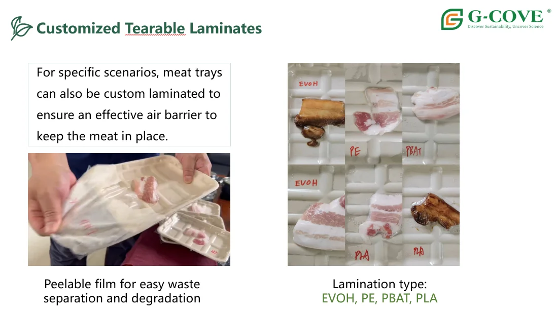 G-CG-COVE Pulp Molded Meat Tray – Biodegradable | Sustainable ...