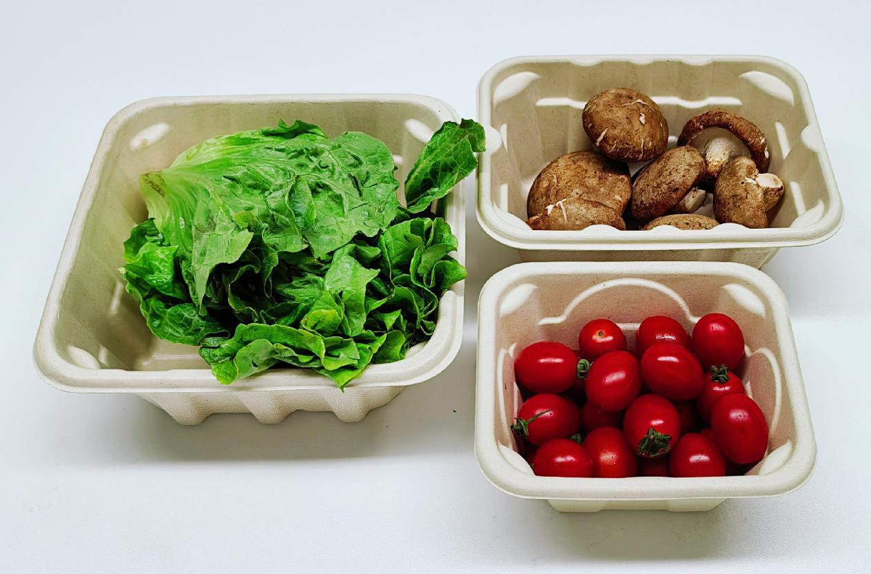G-COVE Bamboo-Fiber Molded Pulp Compostable Produce Trays