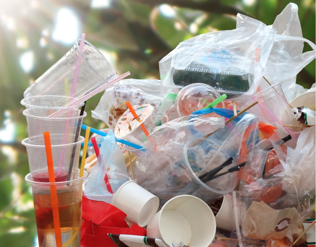 G-COVE: Rethinking Sustainable Food Packaging for a Circular Economy