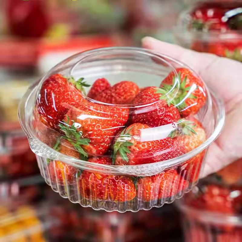 Disposable Plastic Fruit Salad Packaging Box Rectangle Transparent ...