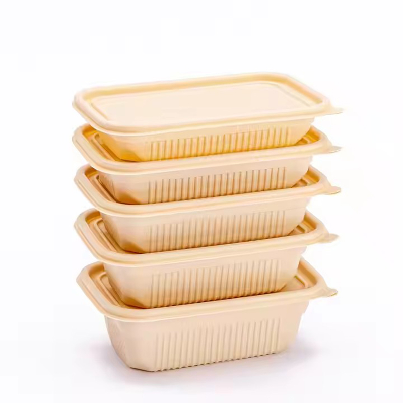 Design of Eco - friendly Disposable Food Containers: A Holistic Approach