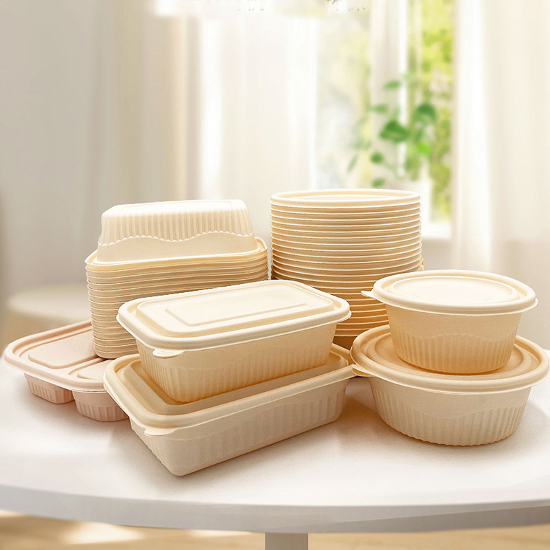 Eco - friendly Takeout Packaging: A Sustainable Solution for the ...