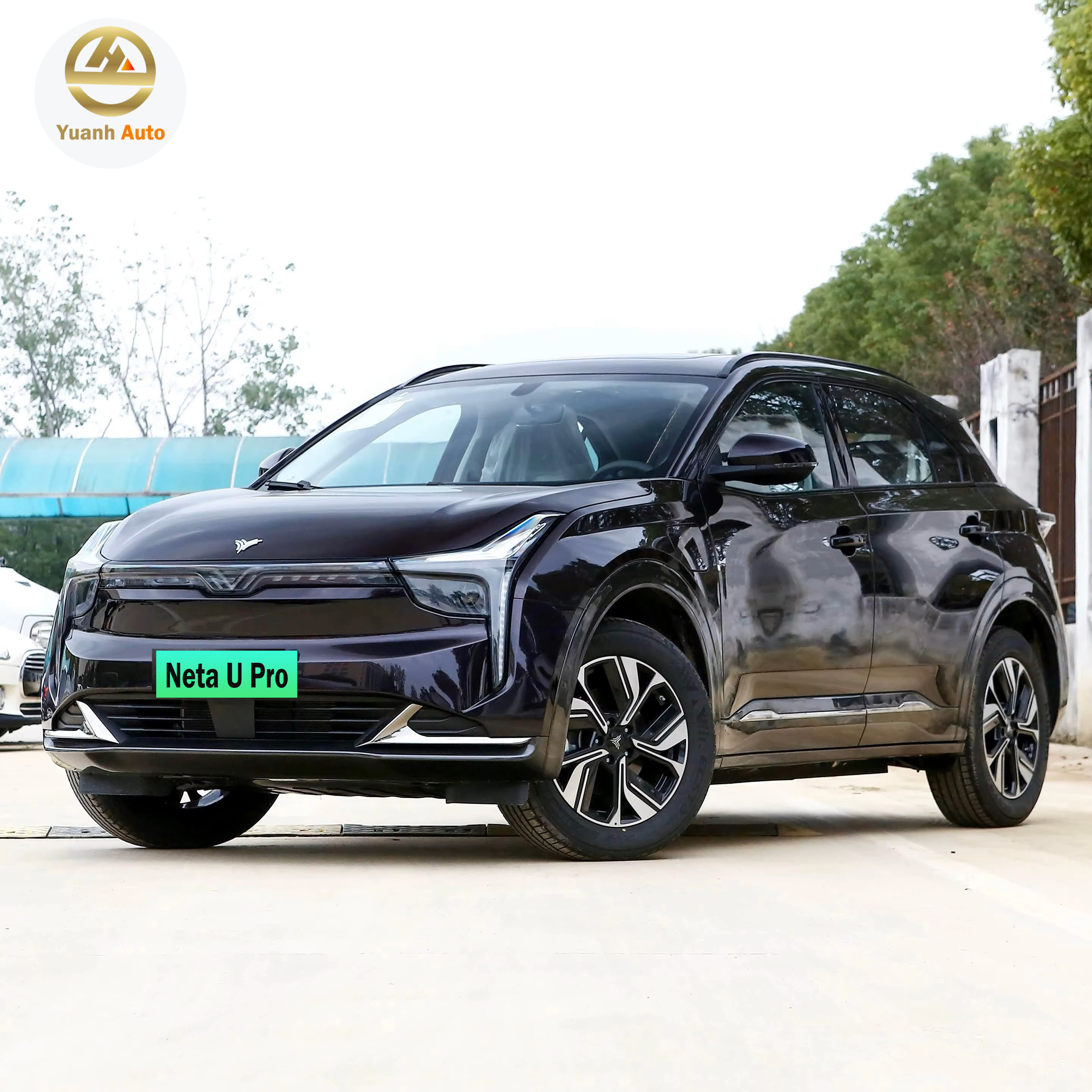 2022-2023 Neta U Global Edition Used Electric SUV 400-610km EV