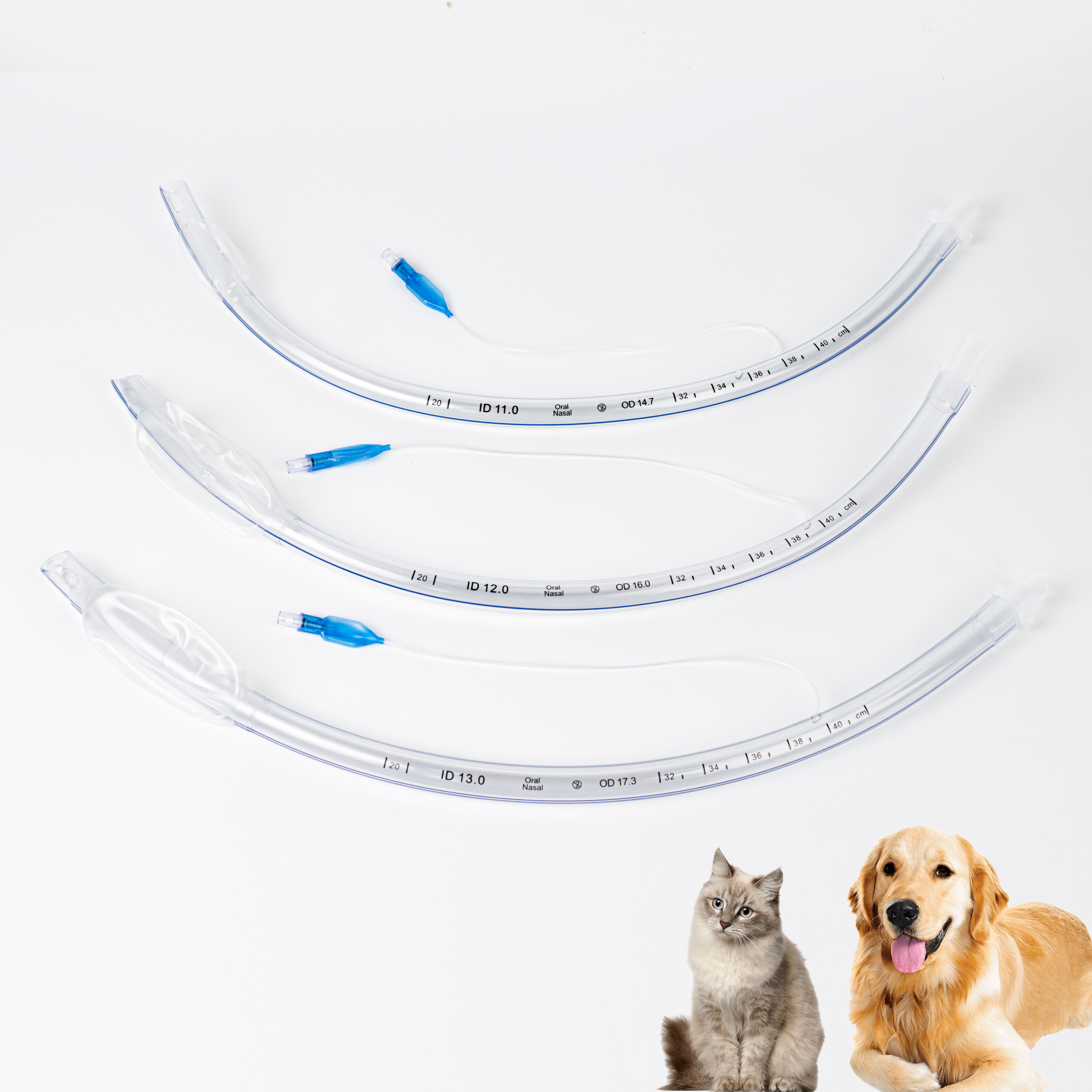 Vet Supraglottic Airway Device Endotracheal Intubation for Cat Rabbit