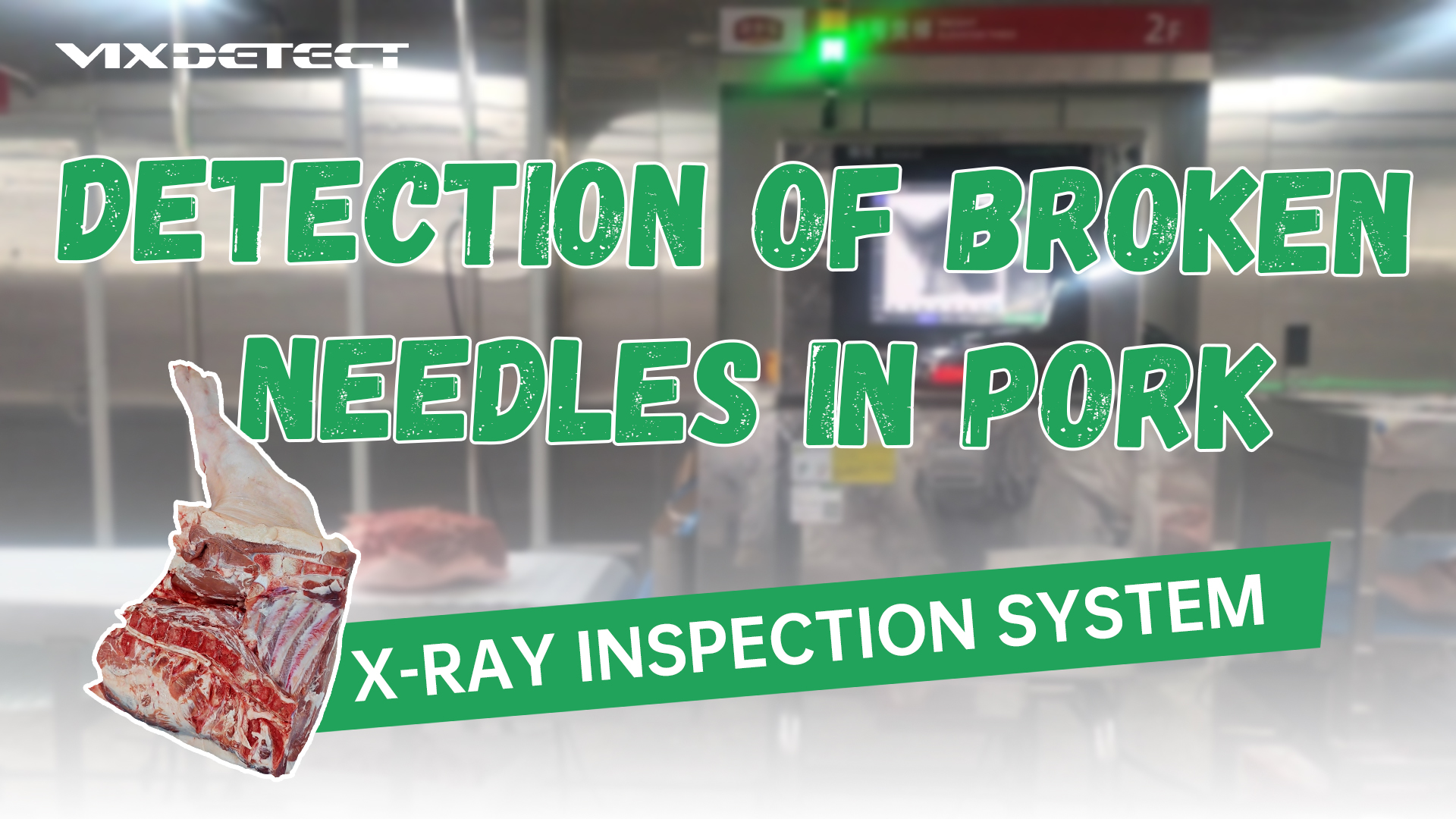 X-Ray detection of broken needle in pork