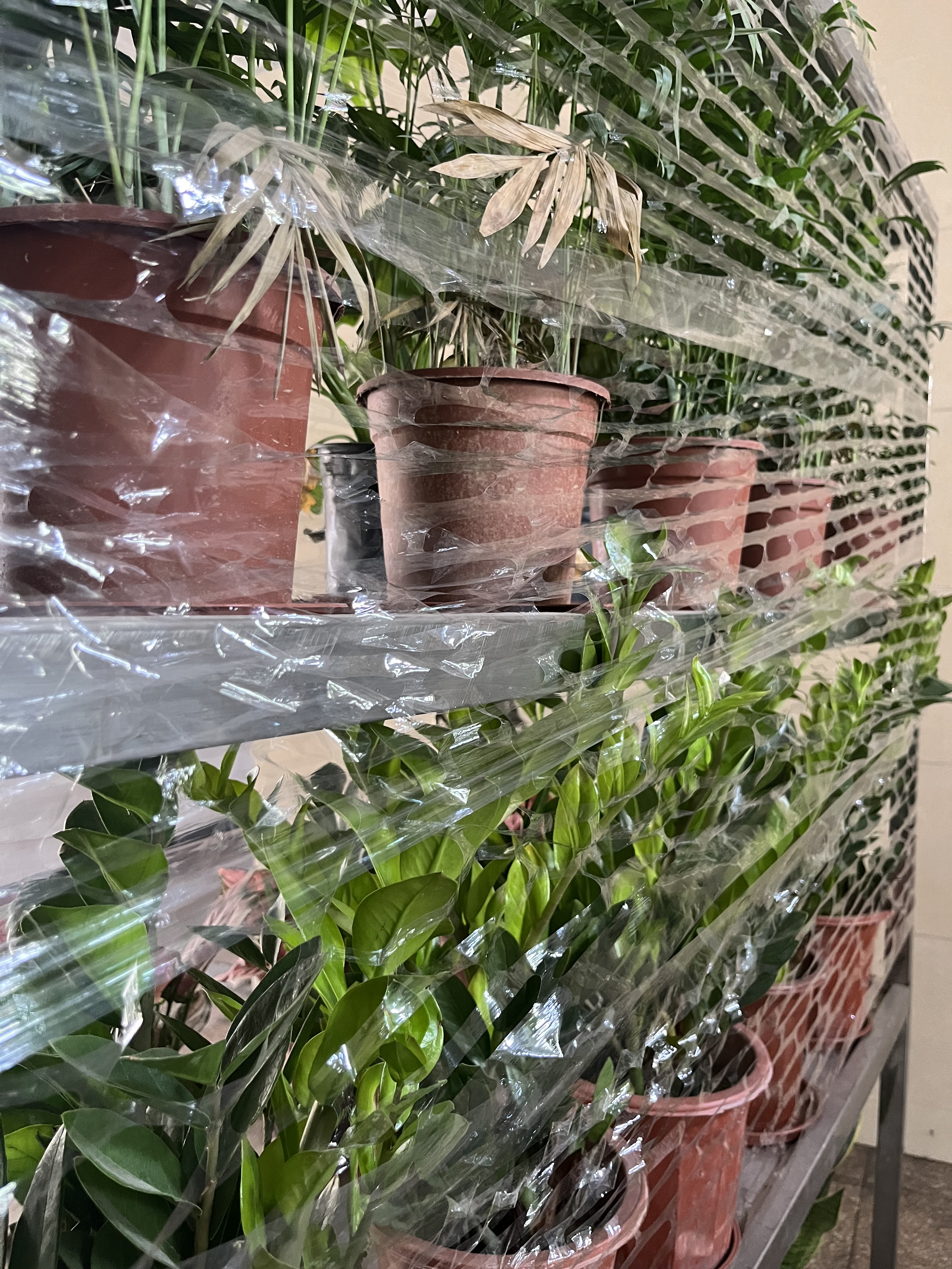 pre-stretched perforated stretch film