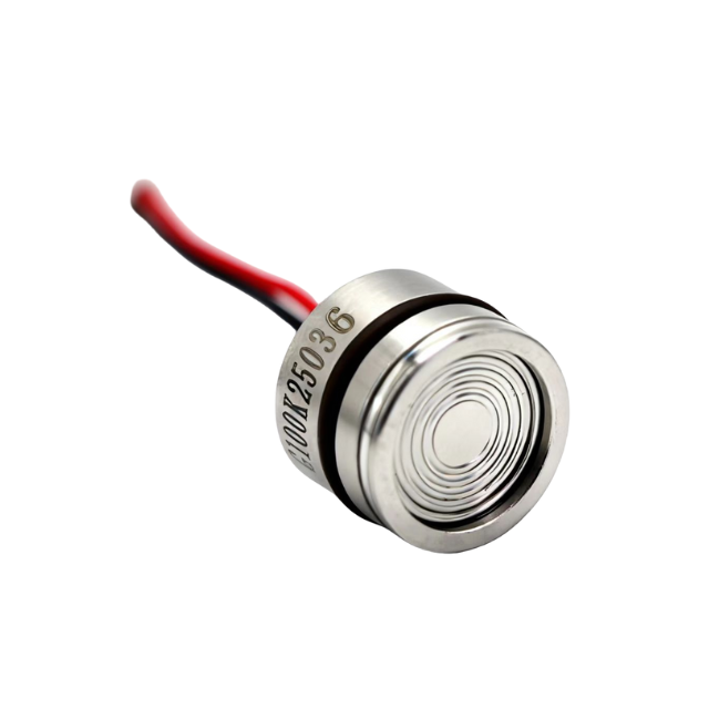TS10 Monosilicon Pressure Sensor Manufacturer | Danrui