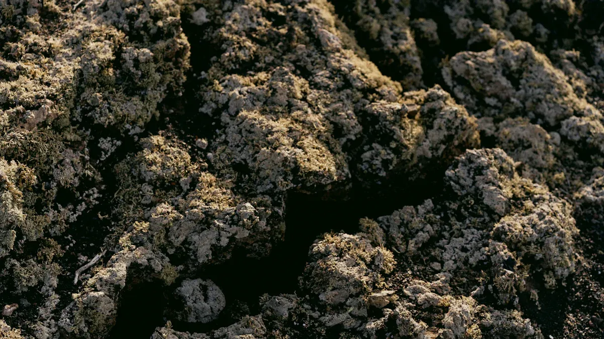 How to Choose the Best Ground Enhancement Material for Residential ...