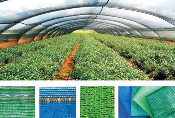 The Economic Impact of Plastic Agro Shade Net Pricing in Modern Farming