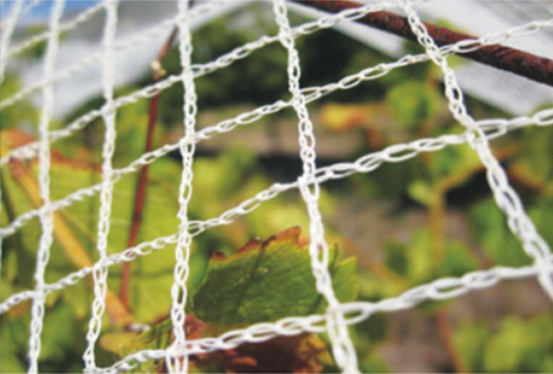 High Quality Bird Screen Mesh Factory - For Sale - CANA Netting