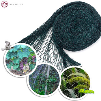 High Quality Bird Mist Net For Sale - Manufacturer - CANA Netting