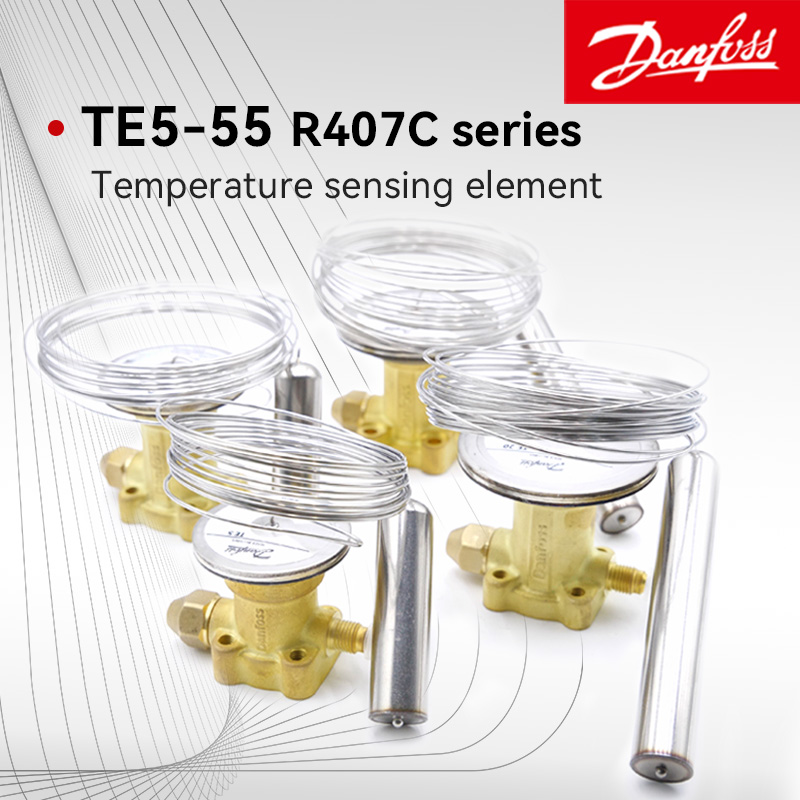 TE5-TE55 temperature sensing element R407C thermal expansion valve ...