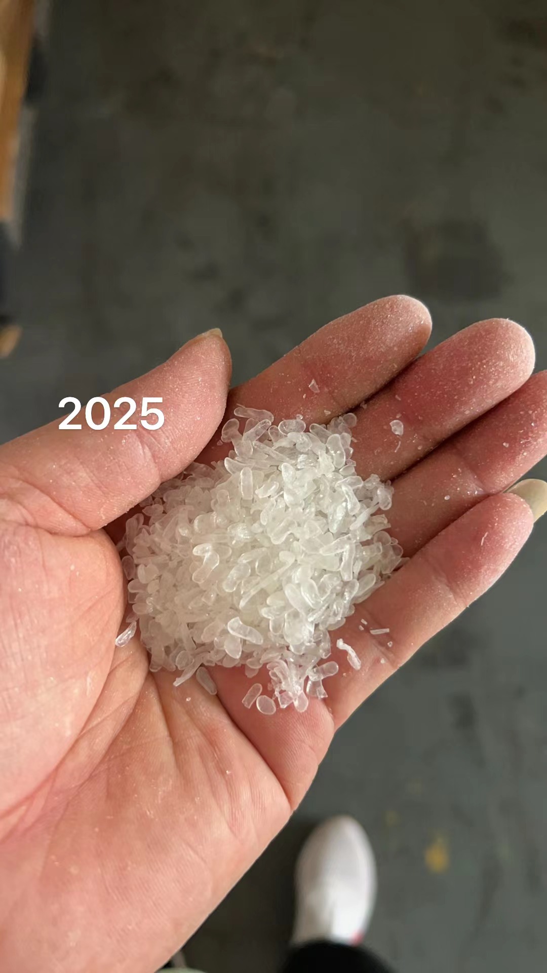 XIBOND 2025_上海熠星贸易有限公司